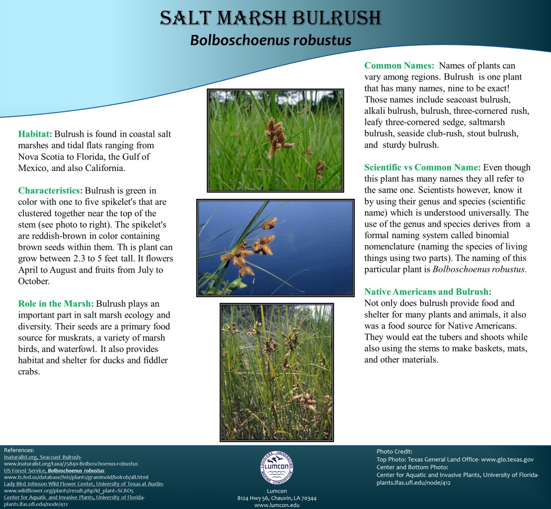 Printable Resources – CWC