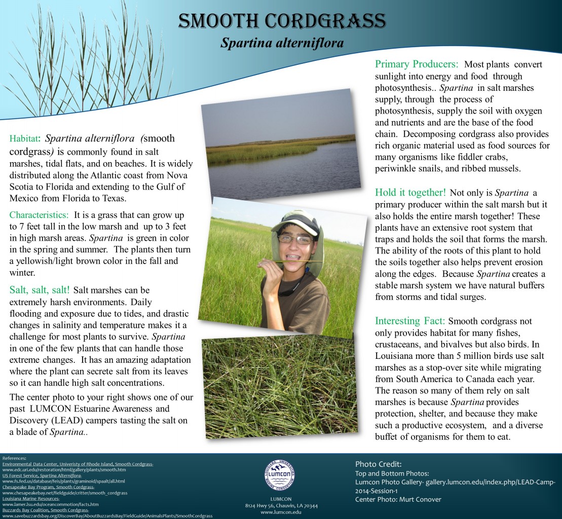 Printable Resources – CWC