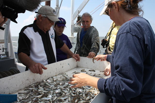 Gulf Lagniappe: Dead Zones – CWC